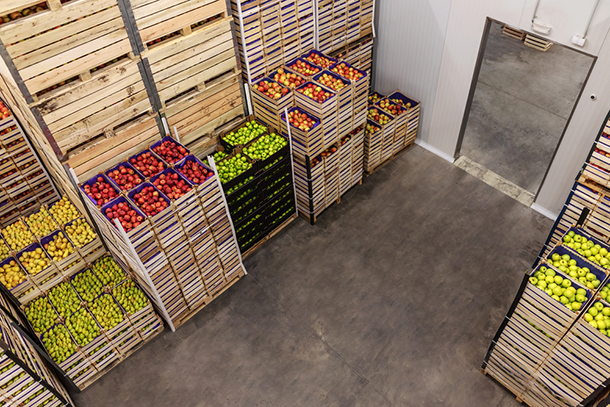 How to Ship Food: Your Complete Guide to Shipping Food and Perishables ...